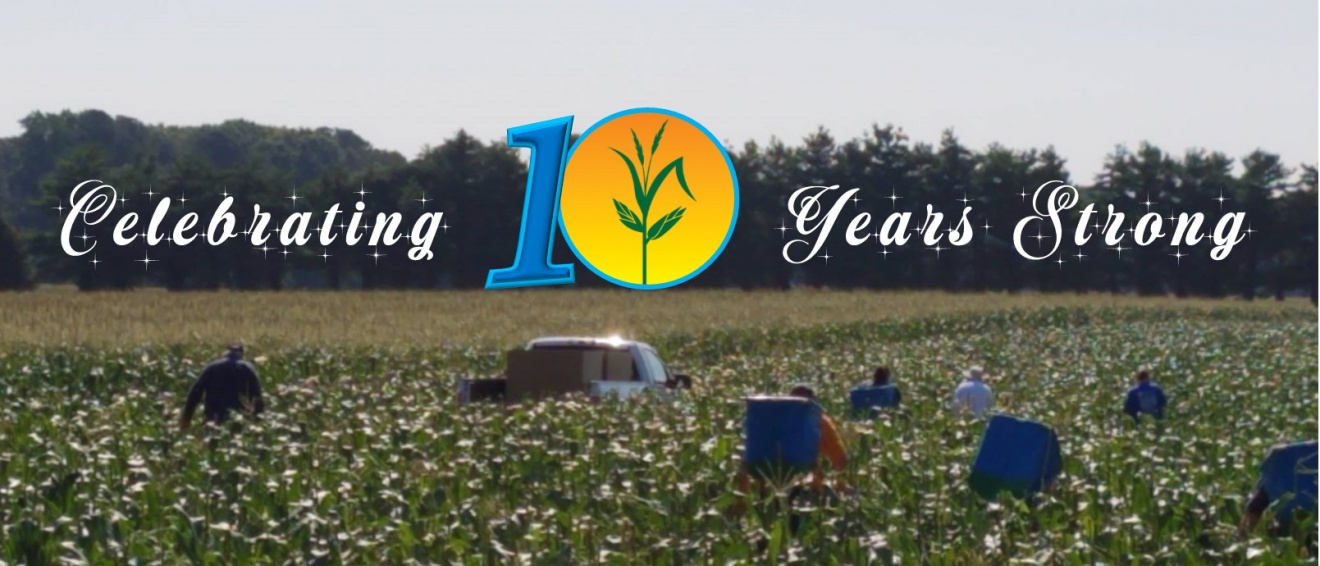 Healthy Harvest Food Bank – Your Local Farm to Food Bank